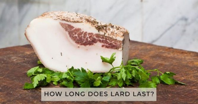 How Long Does Lard Last? | Storage Box Reviews