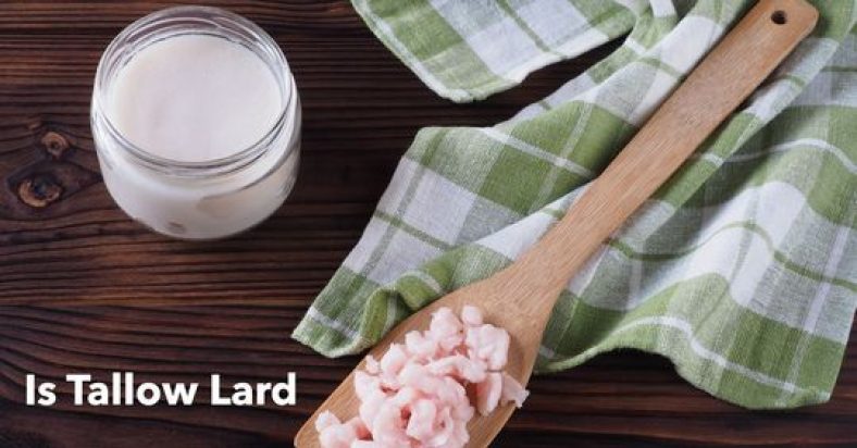 Is Tallow The Same As Lard? | Storage Box Reviews